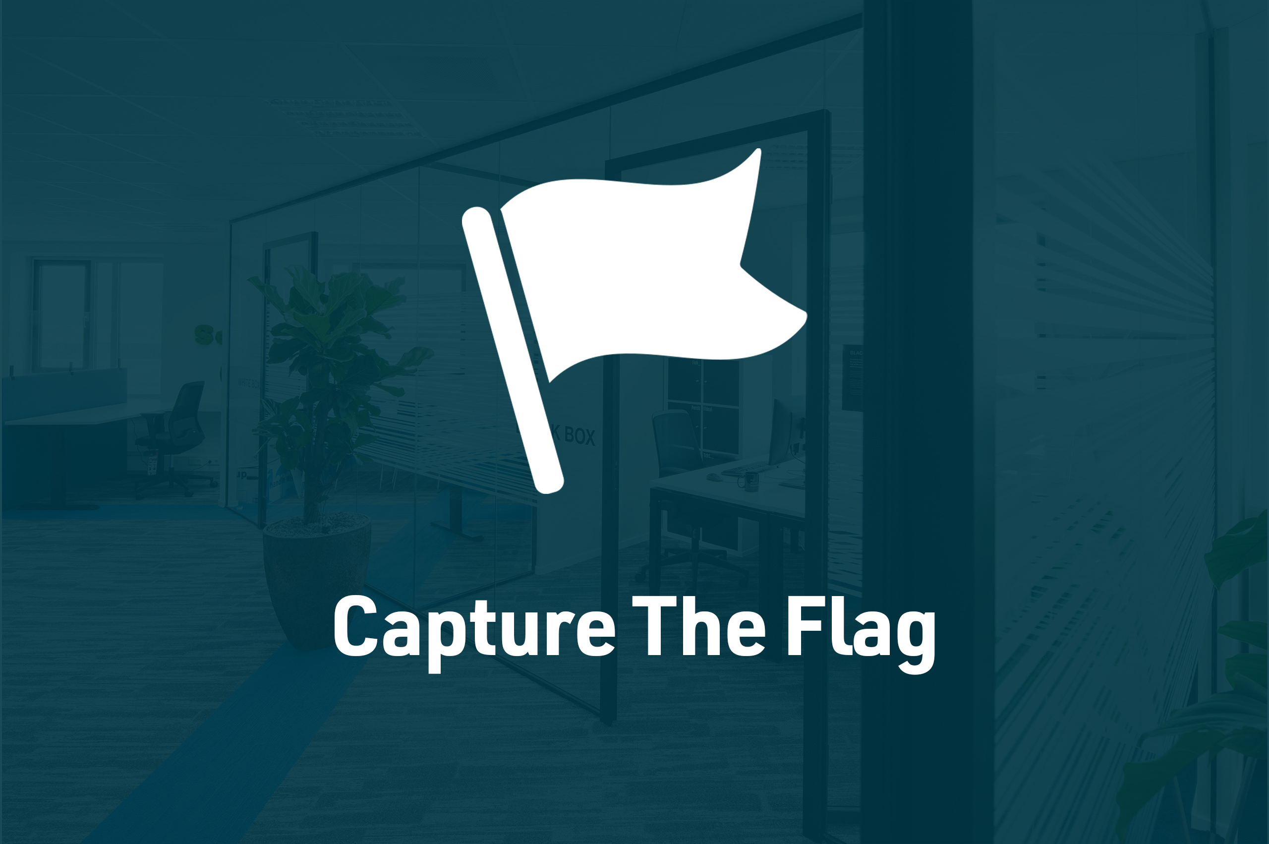 Capture The Flag Capture The Flag | Roe Knows Best